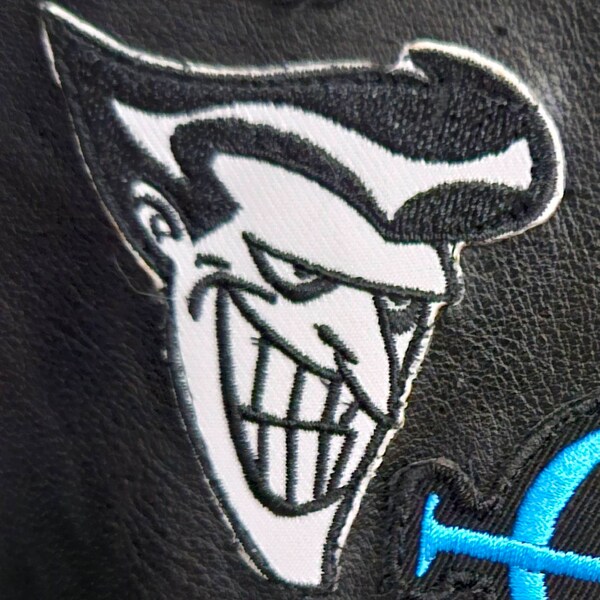 101 Dalmatian Patches Iron on Patches Dalmatian Cartoon Iron on Patch ...