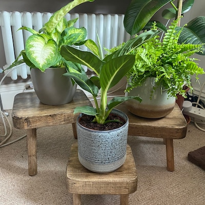 Rustic Wooden Plant Pot Stand Family - Etsy