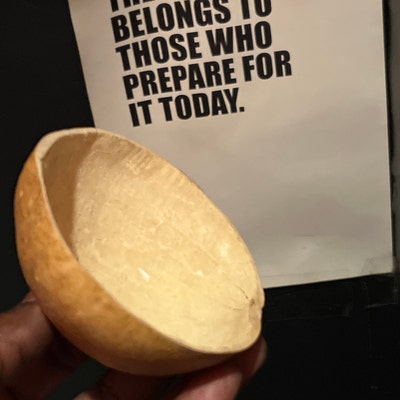 Unique Handmade Coconut Shell Container With Lid - Etsy