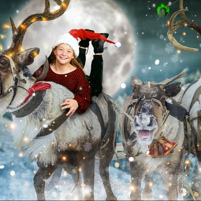 Christmas Digital Smiling Reindeer Flying Reindeer Games - Etsy