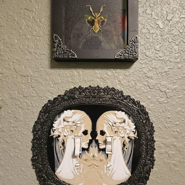 Real Framed Mantis Creobroter Beetle Shadow Box Dried Insect Dead Bug ...