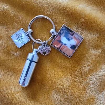 Pet Memorial Keying Pet Memorial Keychain With Custom Photo and ...