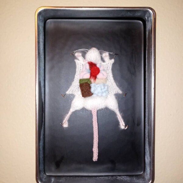 Knitted Dissected Bat Specimen - Etsy