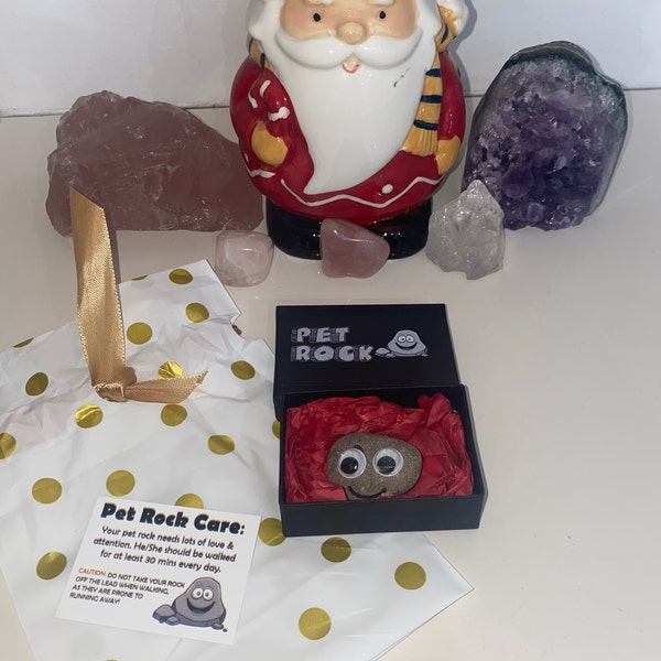 Small Pet Rock With Carry Case & Care Guide - Fun Novelty Gift for ...