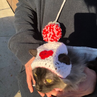 Valentines Day Hat for Cats, Heart Cat Hat, Valentines Day Cat ...