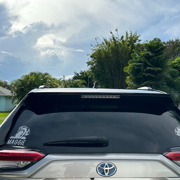 Cane Corso Decal | Peeking Cane Corso Decal | Cane Corso Sticker ...