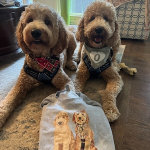 Black Goldendoodle Hat Embroidered, Labradoodle Dad Hat, Golden Doodle ...