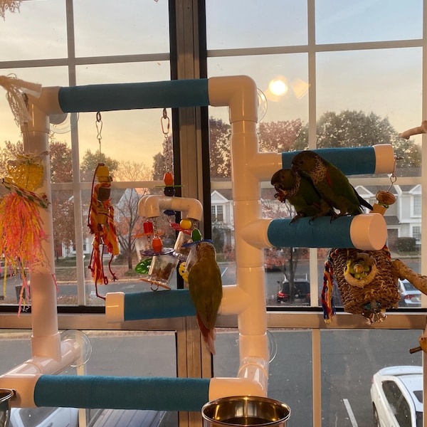 25 Closed Bird Leg Bands Aluminum Custom Laser Engraved in USA - Etsy