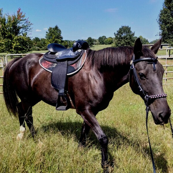 Split Reins Paracord Reins Round Gaucho Braid Quick Change Reins Easy ...