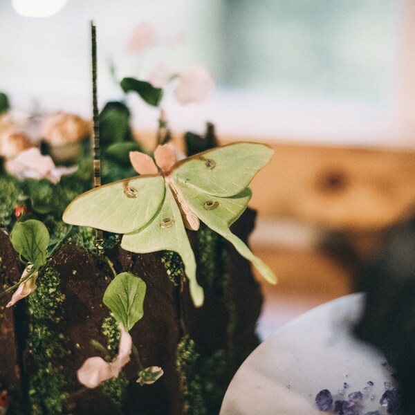 Luna Moth Cake Topper, Gumpaste Cake Decoration - Etsy