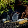 Tiny Mini Cemetery Headstone Tombstone Concrete Potted Plant Terrarium ...