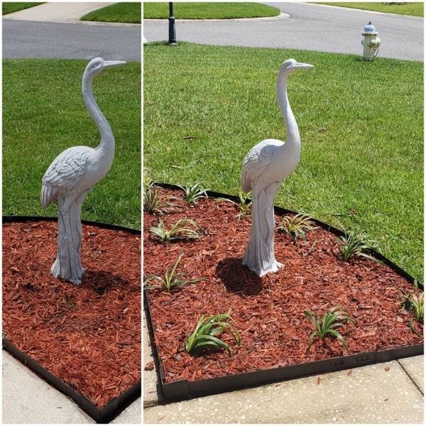 Yellow Variegated Liriope Plant, Variegated Monkey Grass Group of 15-20 ...