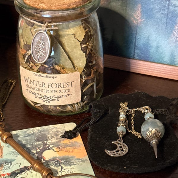 Winter Forest Simmering Potpourri - Etsy