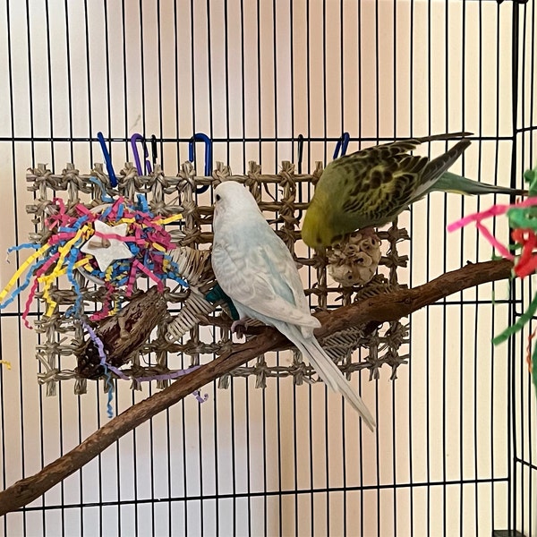 Sola Ball Fun - Hand Made Toys for Small to Medium Pet Birds Using Safe ...