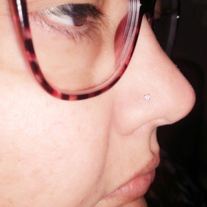 316 Stainless Steel Labret Style Nose Ring Monroe Stud Threadless Push ...