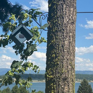 Rustic Wood Warbler House free Shipping - Etsy