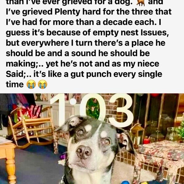 Personalised Couples Pyjamas, Mr & Mrs Satin Pajamas, Monogram Pajamas ...