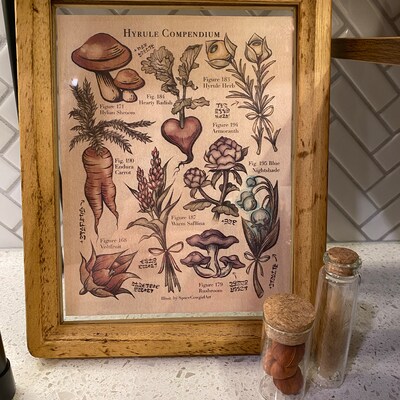 Hyrule Compendium Breath of the Wild Tears of the Kingdom Botanical ...