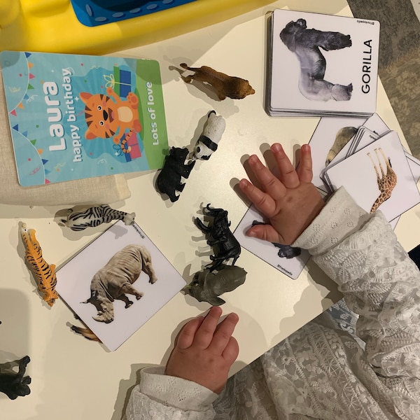 Wild Animals Montessori 3 Part Cards Montessori Home School Educational ...