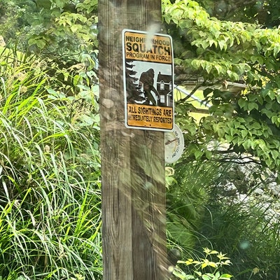 NEIGHBORHOOD SQUATCH Metal Roadsign Bigfoot Sign Sasquatch Sign Perfect ...