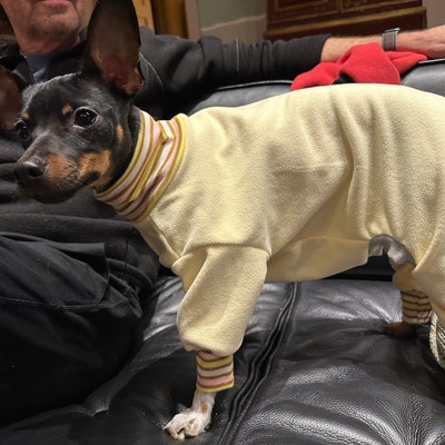 UPF50 Sun Protection Suit for American Hairless Terriers, Chinese ...