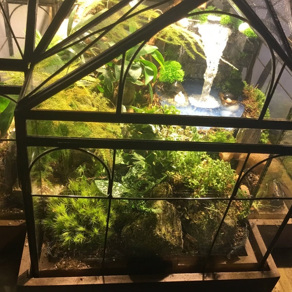 Tropical Seabed Beach Scene Glass Terrarium, Preserved Moss Terrarium ...