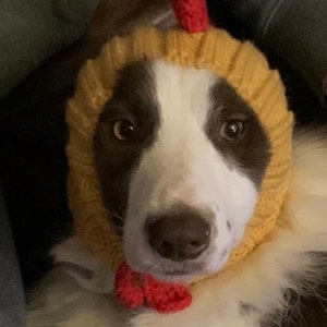 Rooster Chicken Dog Snood Knit Crochet Dog Hat Easter Dog Costume Ear ...