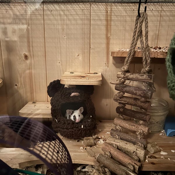 Bearded Dragon Candy Corn Costume Sweater, Halloween Lizard Sweater ...