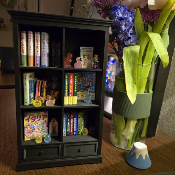 1/6 Scale 3 Shelf Mini Library Cart/ Mini Brands Books / Mini Books ...
