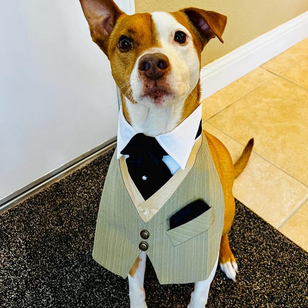 Dog Rugby Shirts. Dog Clothes. Dog Sweatshirts. Dog Outdoor Attire ...