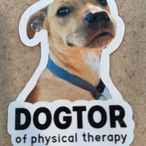 It's Going Tibia Good Day Printable Physical Therapy | Etsy