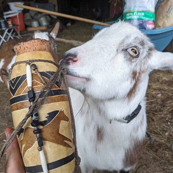Bear Gourd Jug - Etsy