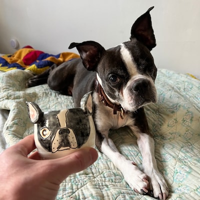 Emotional Support Shark Figurine - Etsy