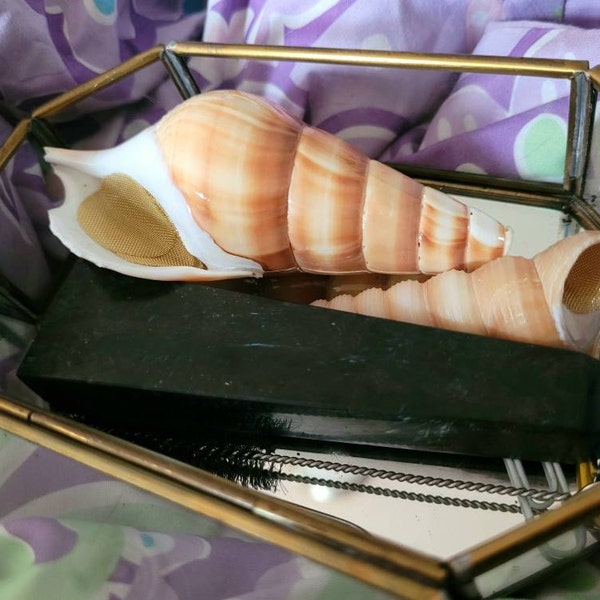 The Rockfish by Shellpipe free Pipes With Every Order Shell Pipe ...