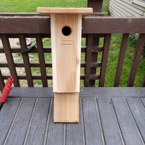 Cardinal Nesting Box - Etsy