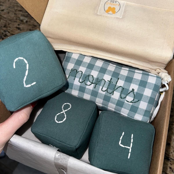 Embroidered Newborn Month Markers Blocks Set - Baby Photo Prop for ...