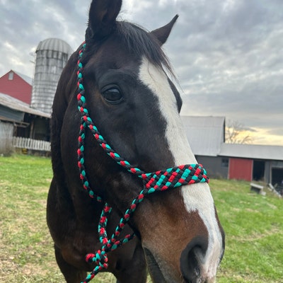 Mule Tape Horse Halter With Rope Noseband - Etsy