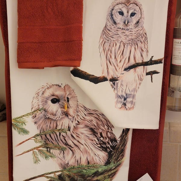 Common Loon - Colored Pencil Drawing - Art Print - Etsy