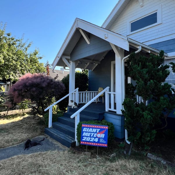 Giant Meteor Yard Sign - Etsy