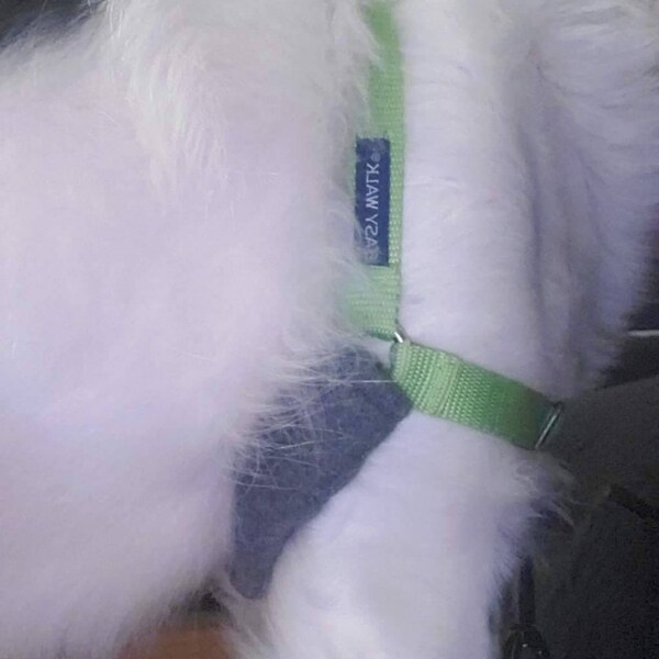 Dog Harness Padding Cover - Harness Huggies | Soft Fleece Fabric Dog ...