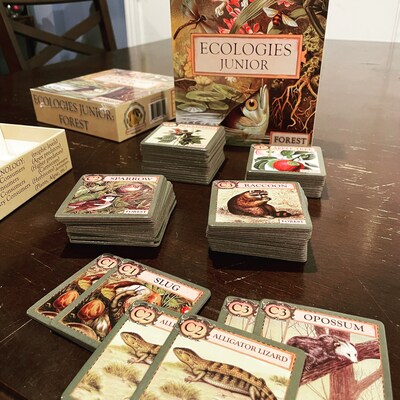 Ecologies Junior: Forest Memory Game and Food Web Builder for Ages 4 ...