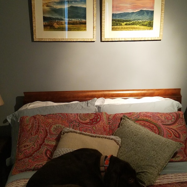 Kachemak Bay Otters, Homer Alaska, Fine Art Prints, Jimmy Pappas ...