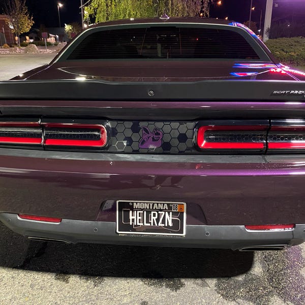 Blank / Debadged Dodge Challenger Tail Light Divider Decal Last Call ...