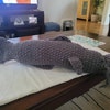 Catfish Crochet Pattern PDF - Etsy UK