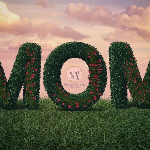 13 Box Photography Template, Collage for in the Box Photography, Inside ...