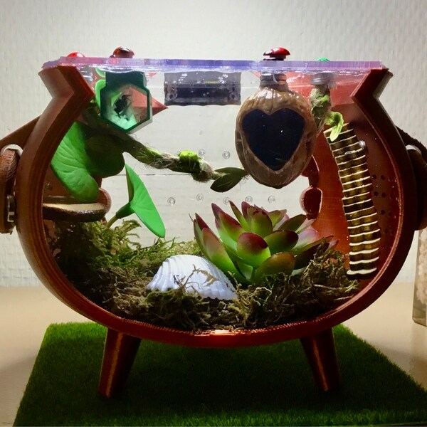 Jumping Spider Enclosure. Small Cauldron Acrylic Glass Enclosure for ...