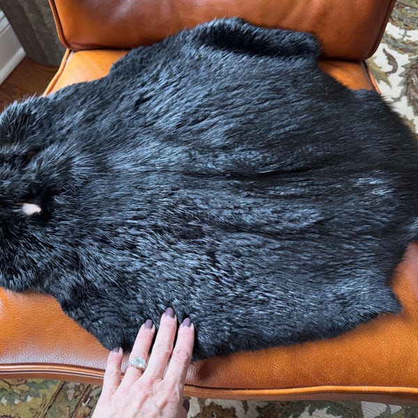 Springbok Skin Natural Springbok Skin XXL Size Tanned Springbok Hide ...