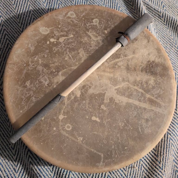 GMP Pangi Seed Shell Shaker/juju/chacha Nutshell Percussion Sound ...