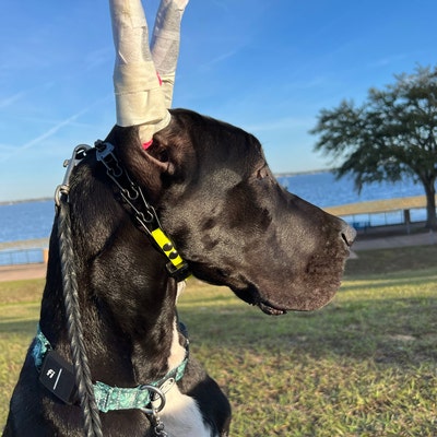 Prong Safety Clip - Etsy