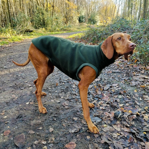 Fleece PRO Dog Clothes – Vizsla & German Pointer Jumper, Big Dog ...